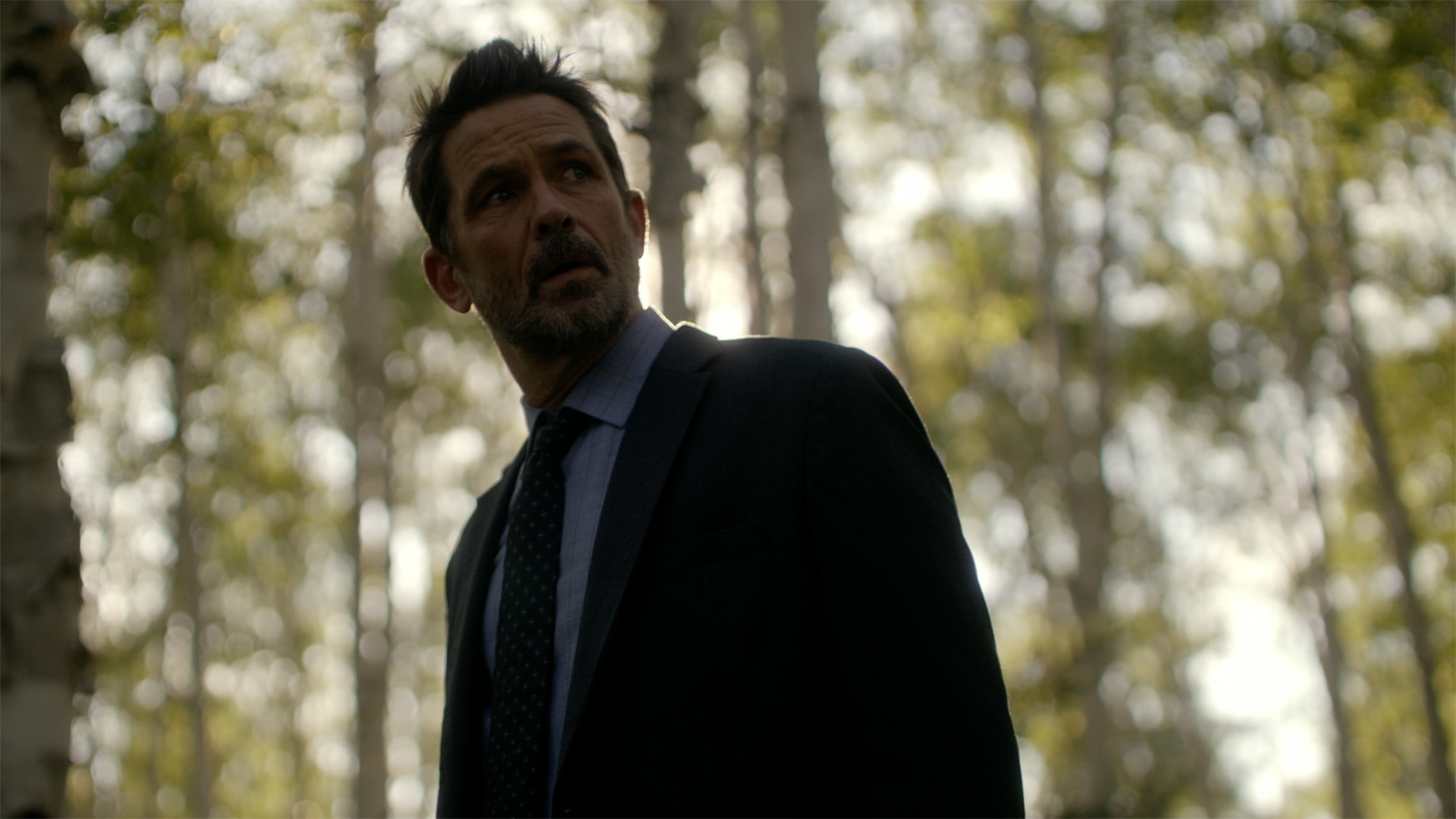 IATSE 667 Directors of Photography Website Showcase/ DPs / DOPs Canada