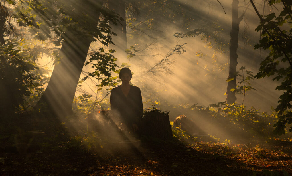 IATSE 667 Directors of Photography Website Showcase/ DPs / DOPs Canada